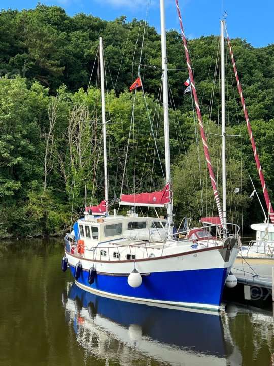 Colvic Watson 34.6 d'occasion - 49 500 € - Bretagne