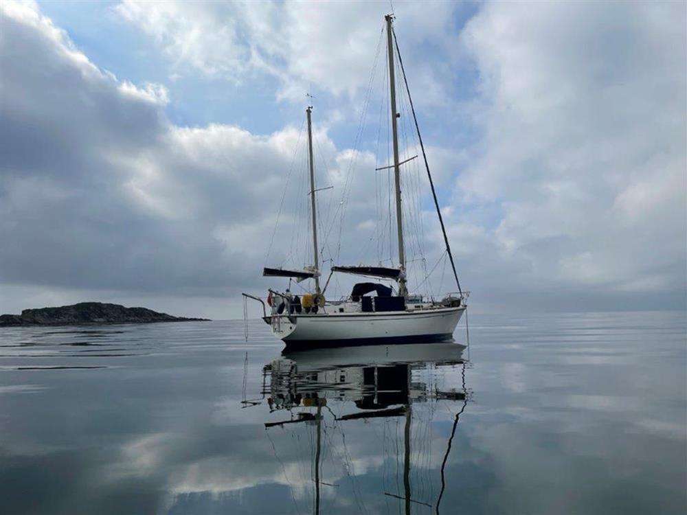 1979 Westerly 36 Conway for sale - Scotland - €28,951