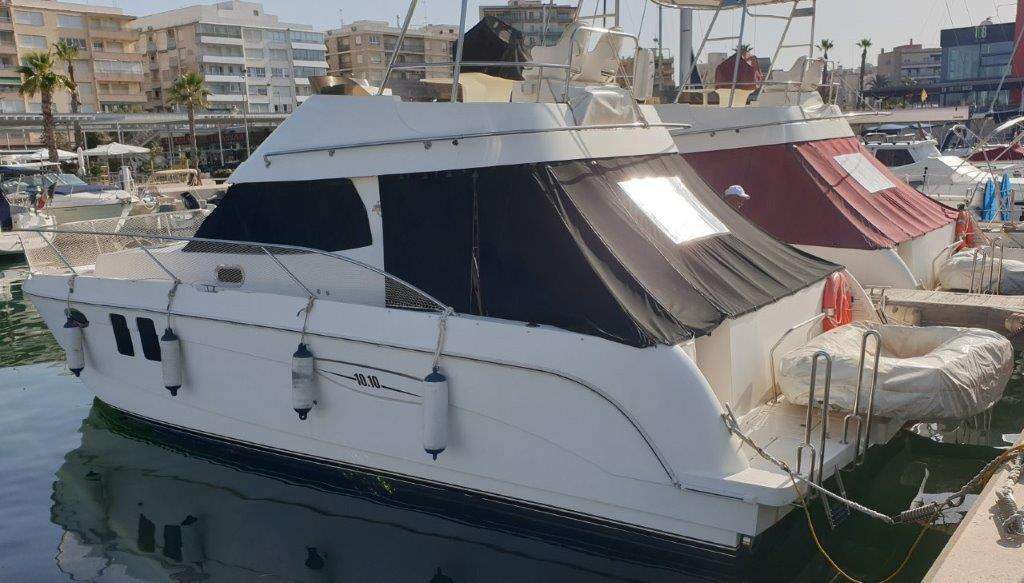 Excitecat 1010 2007 occasion - Communauté valencienne - 150 000