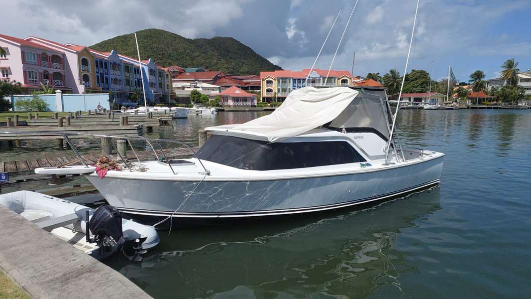 1974 Bertram 31 for sale - Saint Lucia - €43,000