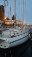 Bateaux alpa 38 cc neufs et occasion à vendre - Band of Boats