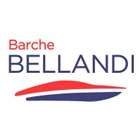 BELLANDI srl - Italia